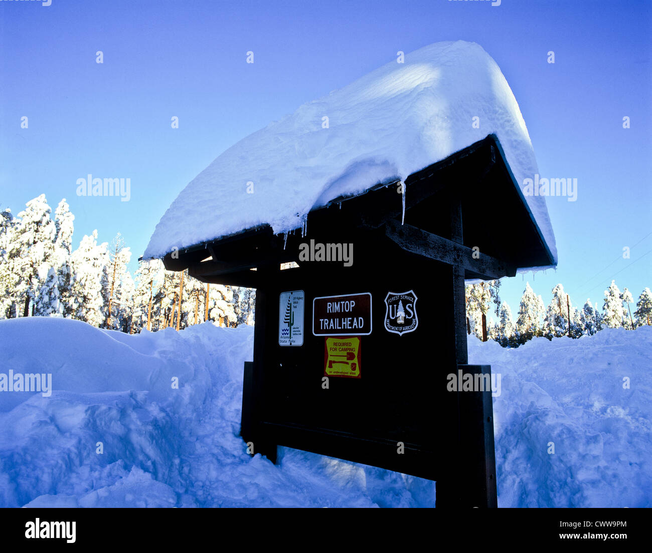 Heavy snow north of Payson, Arizona. Rimtop Trailhead, Mogollon Rim ...