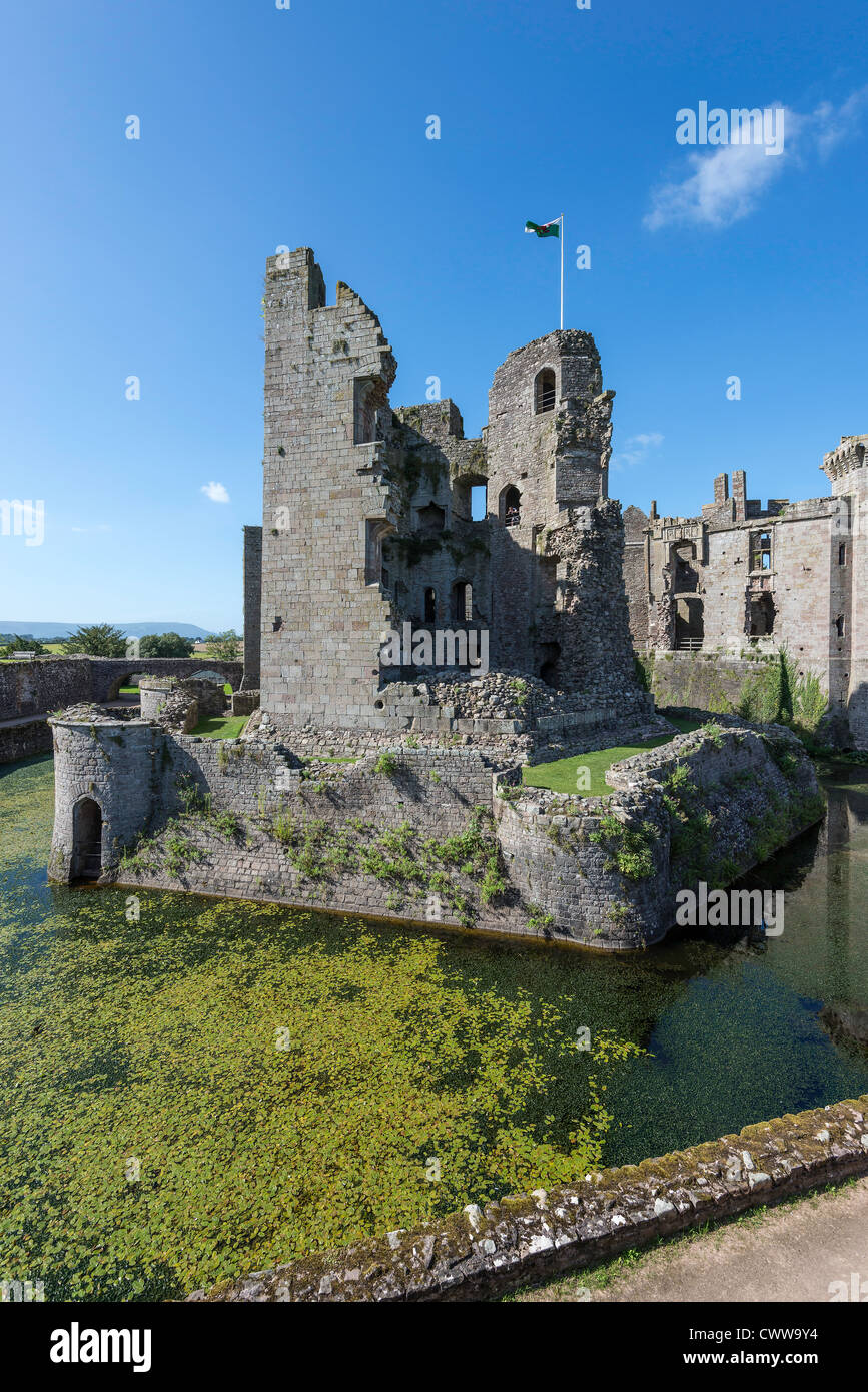 RAGLAN CASTLE MONMOUTHSHIRE WALES SUMMER Stock Photo - Alamy