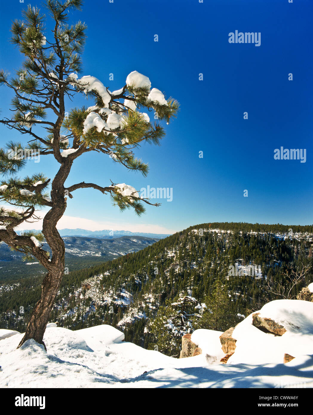 Mogollon rim snow hi-res stock photography and images - Alamy