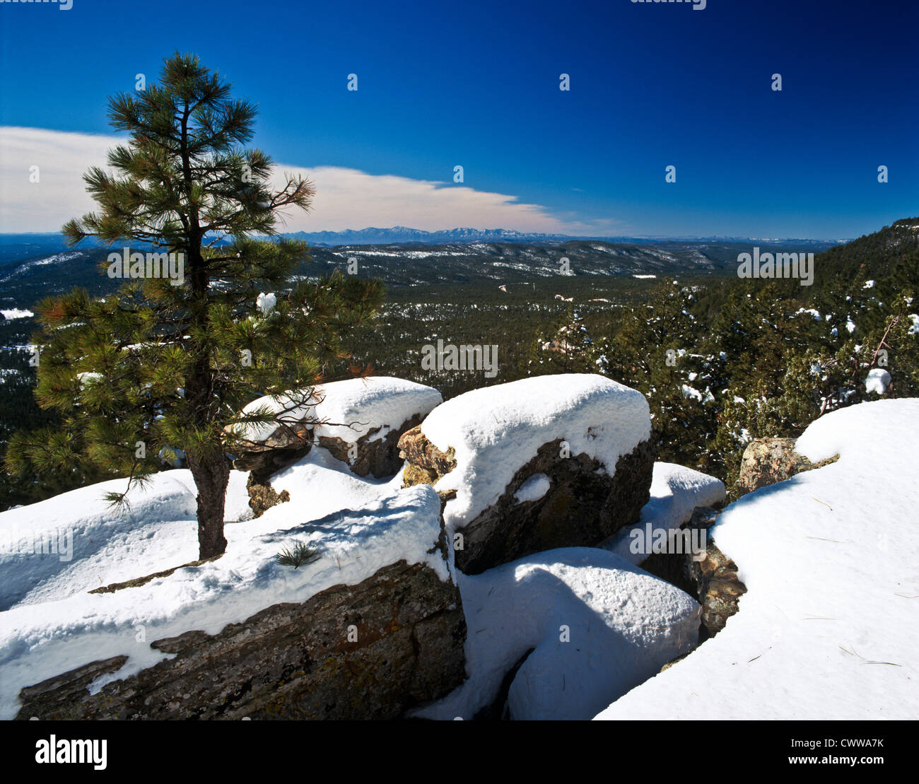 Mogollon rim snow hi-res stock photography and images - Alamy