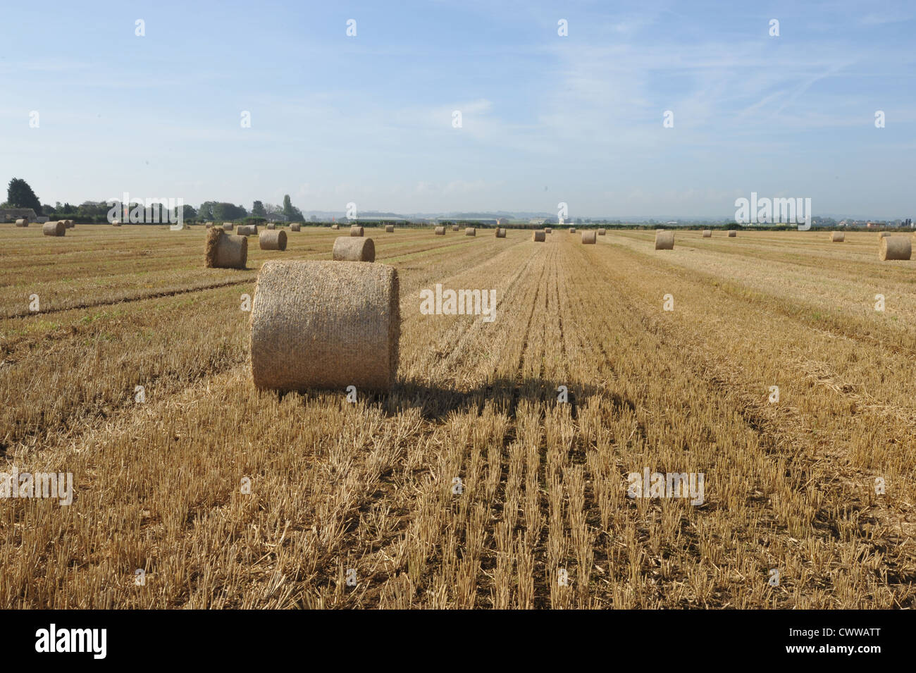Coloured bales hi-res stock photography and images - Alamy