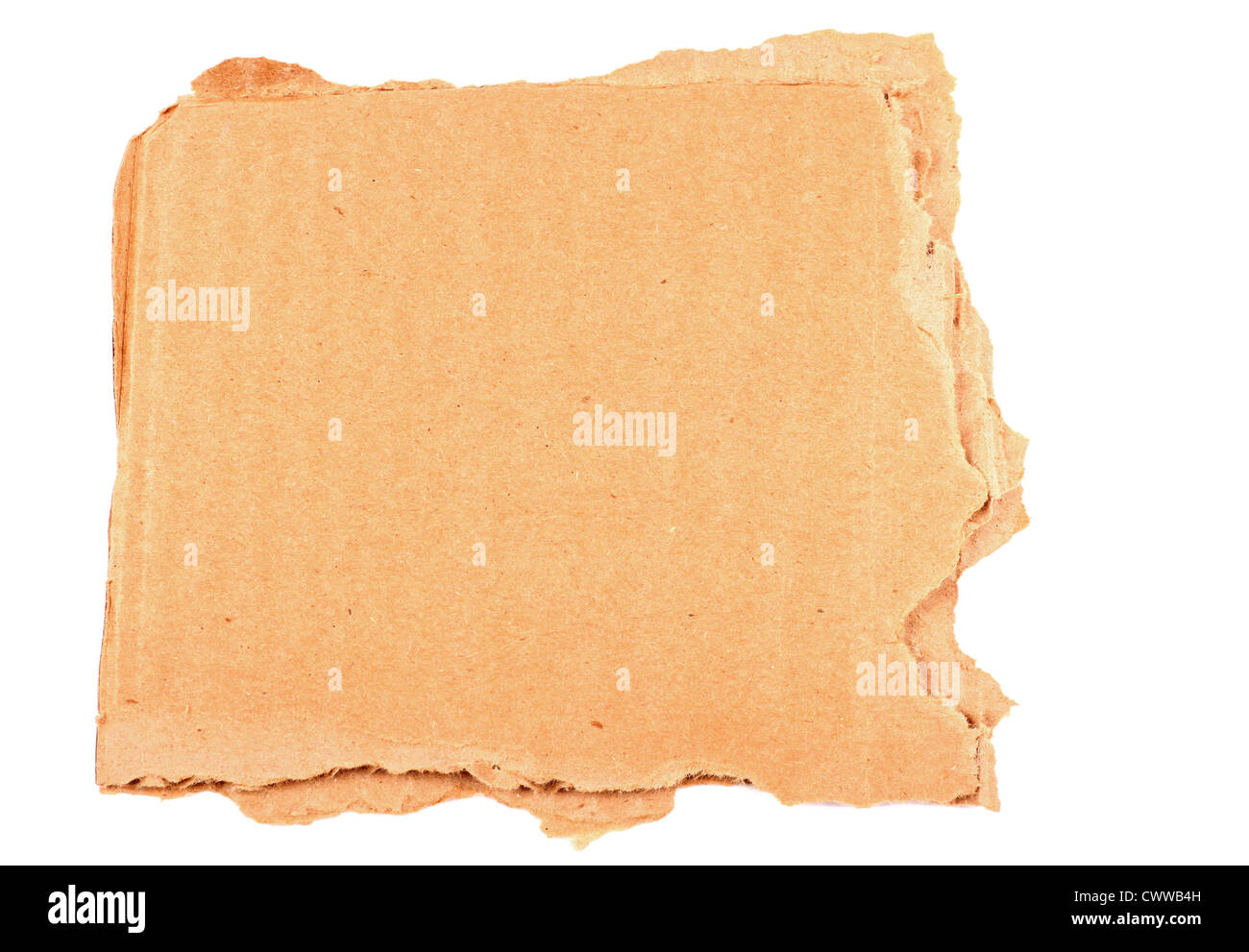 A piece of corrugated cardboard with ripped edges Stock Photo - Alamy
