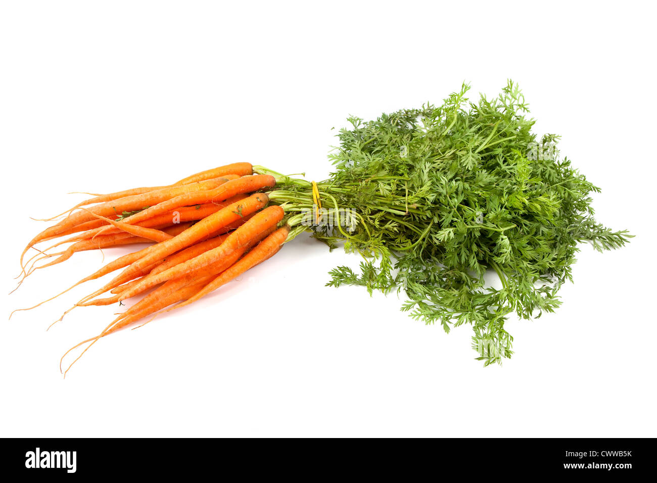 A bunch of farm fresh carrots on a white background Stock Photo - Alamy
