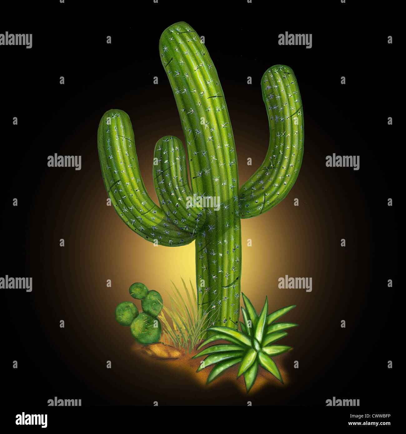 Weather Cactus