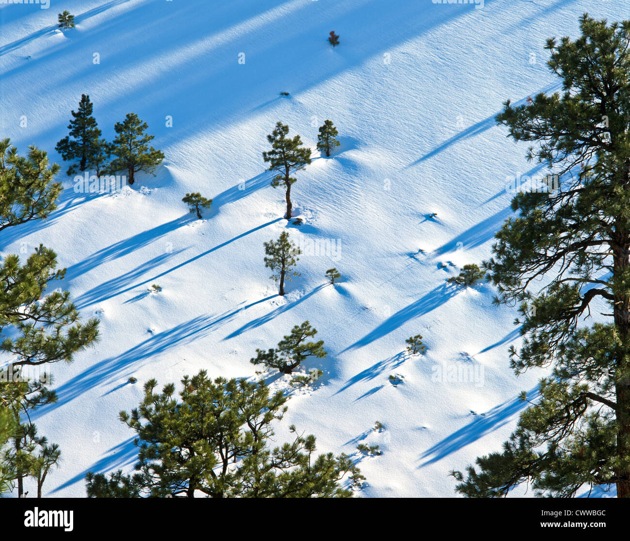 Apache sitgreaves national forests hi-res stock photography and images ...