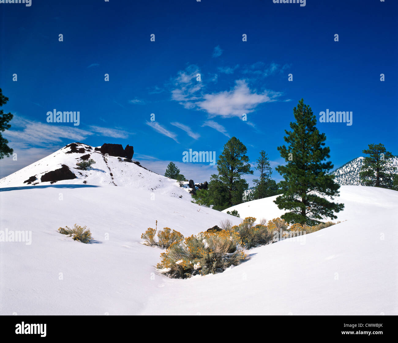 Heavy snow at Sunset Crater Volcanic National Monument, north of ...