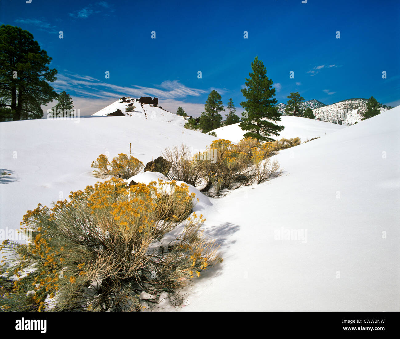 Heavy snow at Sunset Crater Volcanic National Monument, north of ...