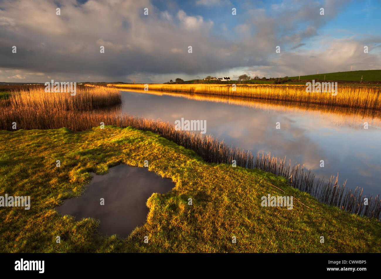 Sky reflected in still rural lake Stock Photo - Alamy