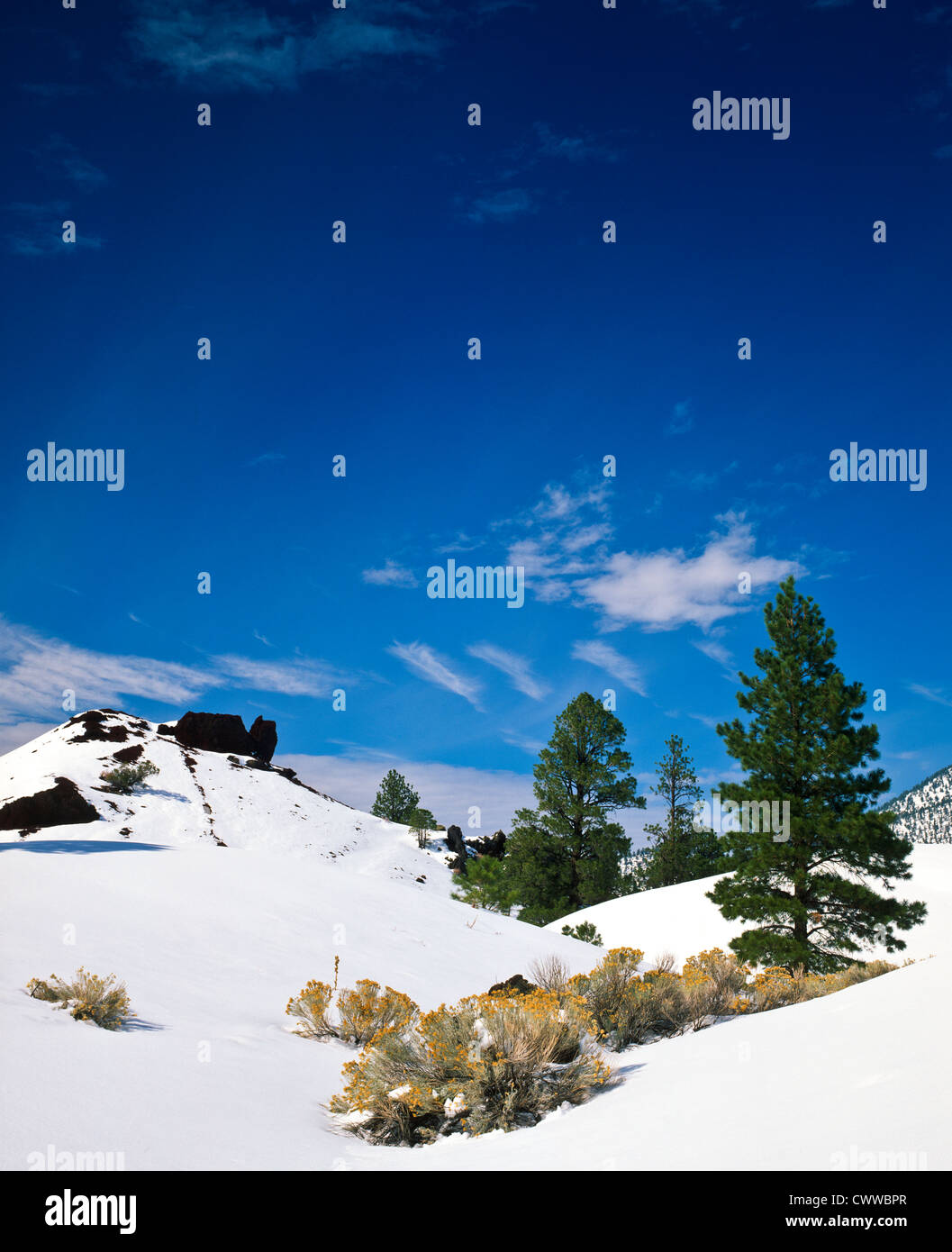 Heavy snow at Sunset Crater Volcanic National Monument, north of ...