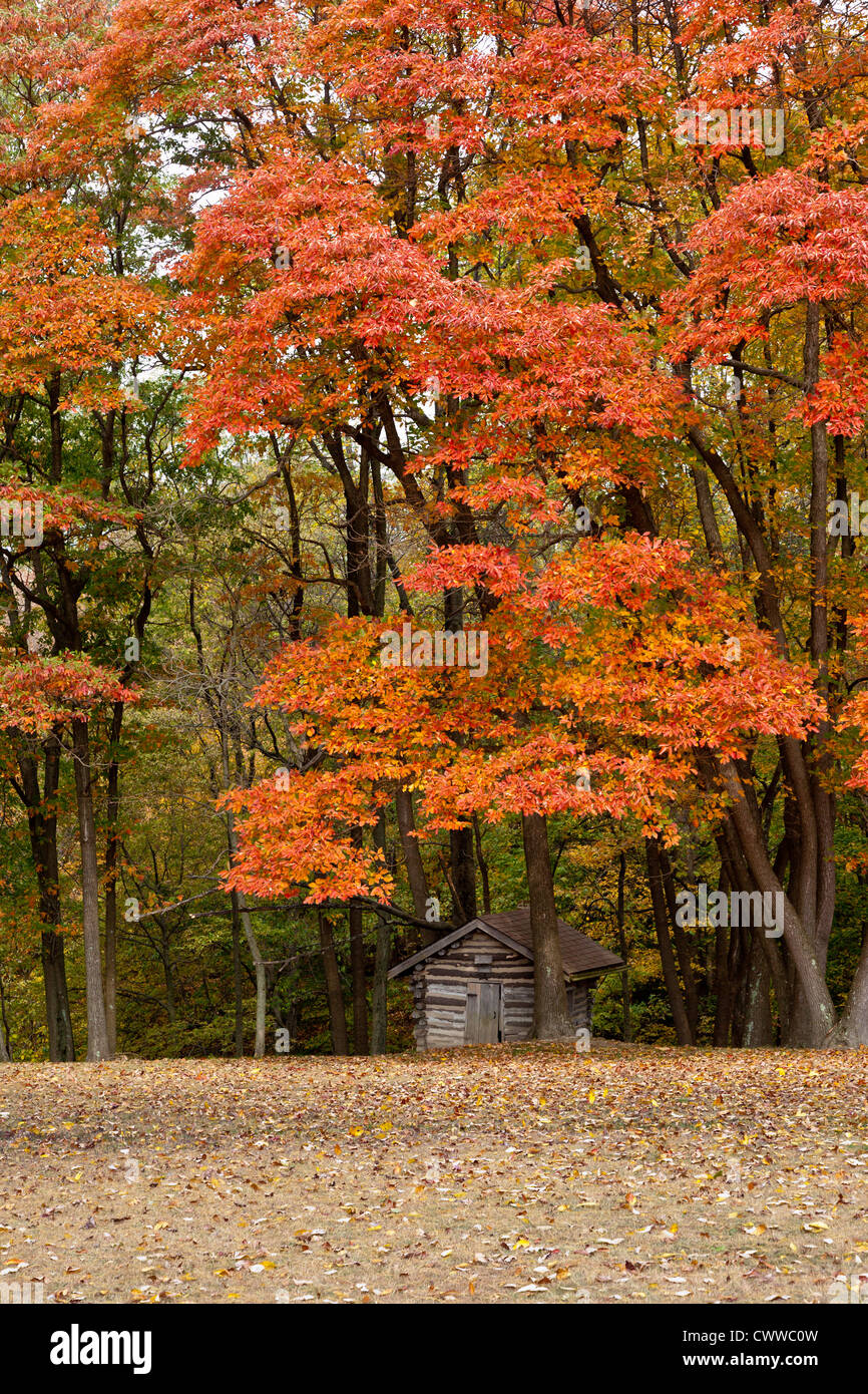 Log cabin under canopy of bright orange fall foliage in Parke County in ...