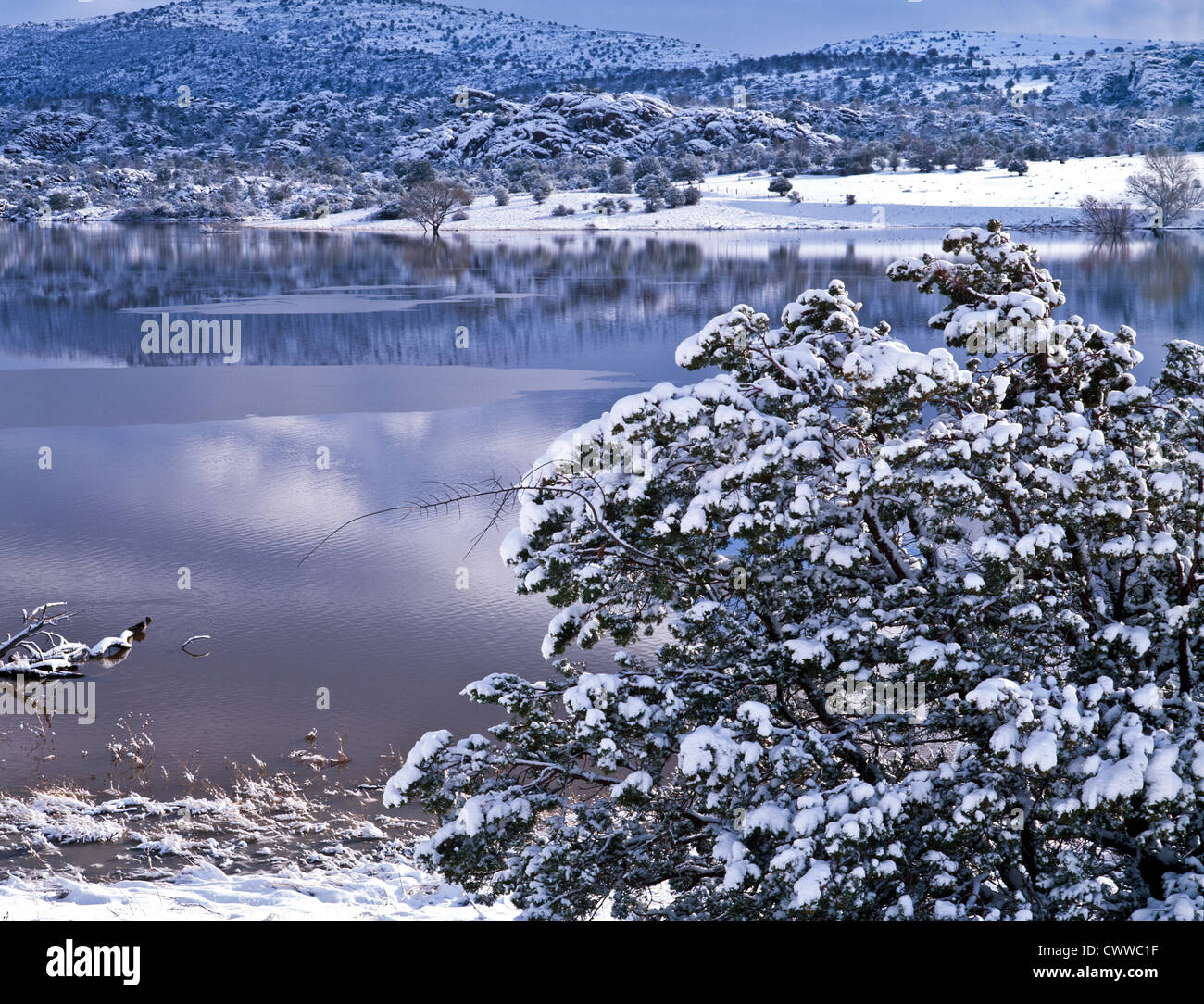 Heavy snow on Watson Lake north of Prescott, Arizona Stock Photo - Alamy
