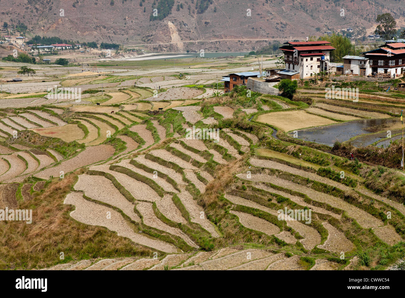 Bhutanese landscape hi-res stock photography and images - Alamy