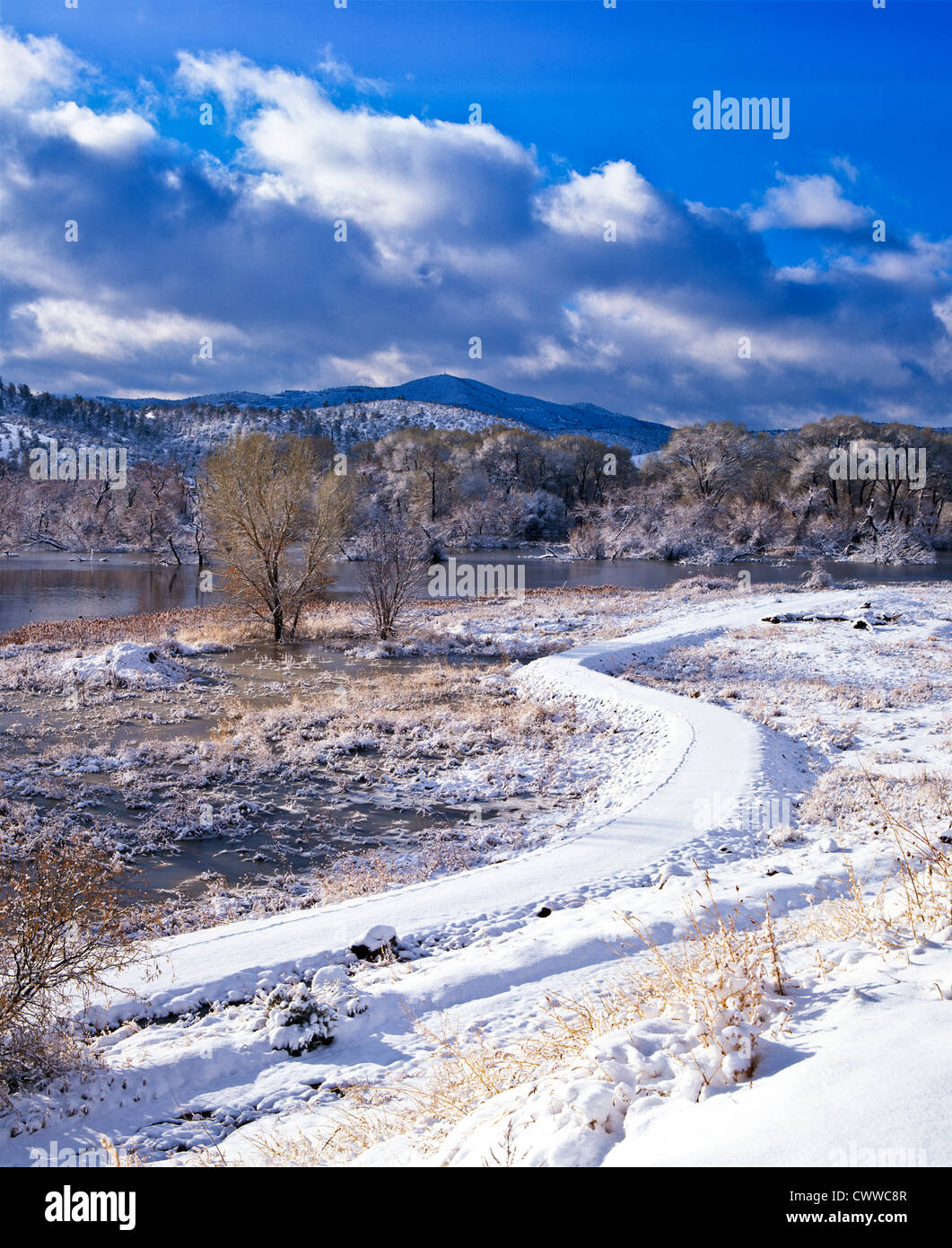 Heavy snow on Watson Lake north of Prescott, Arizona Stock Photo - Alamy