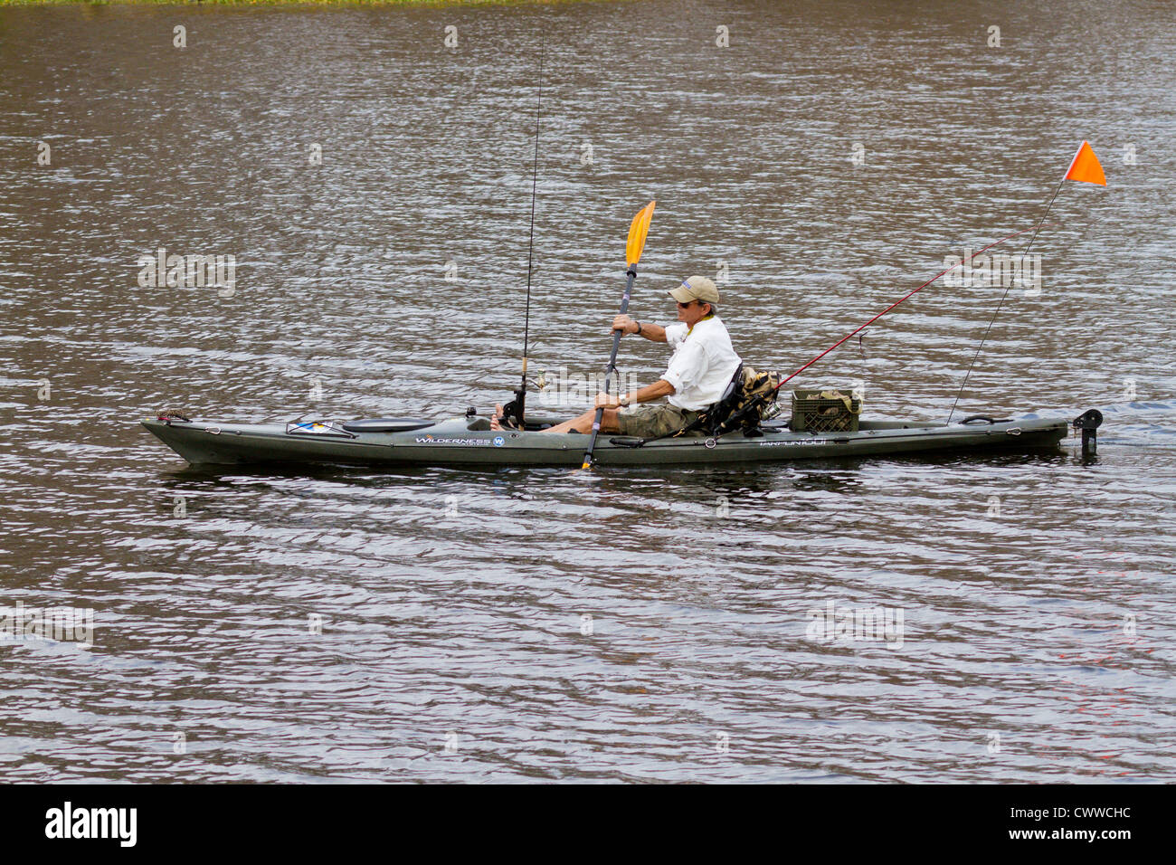 Fisherman paddling kayak on Withlacoochee River near Inverness, Florida ...