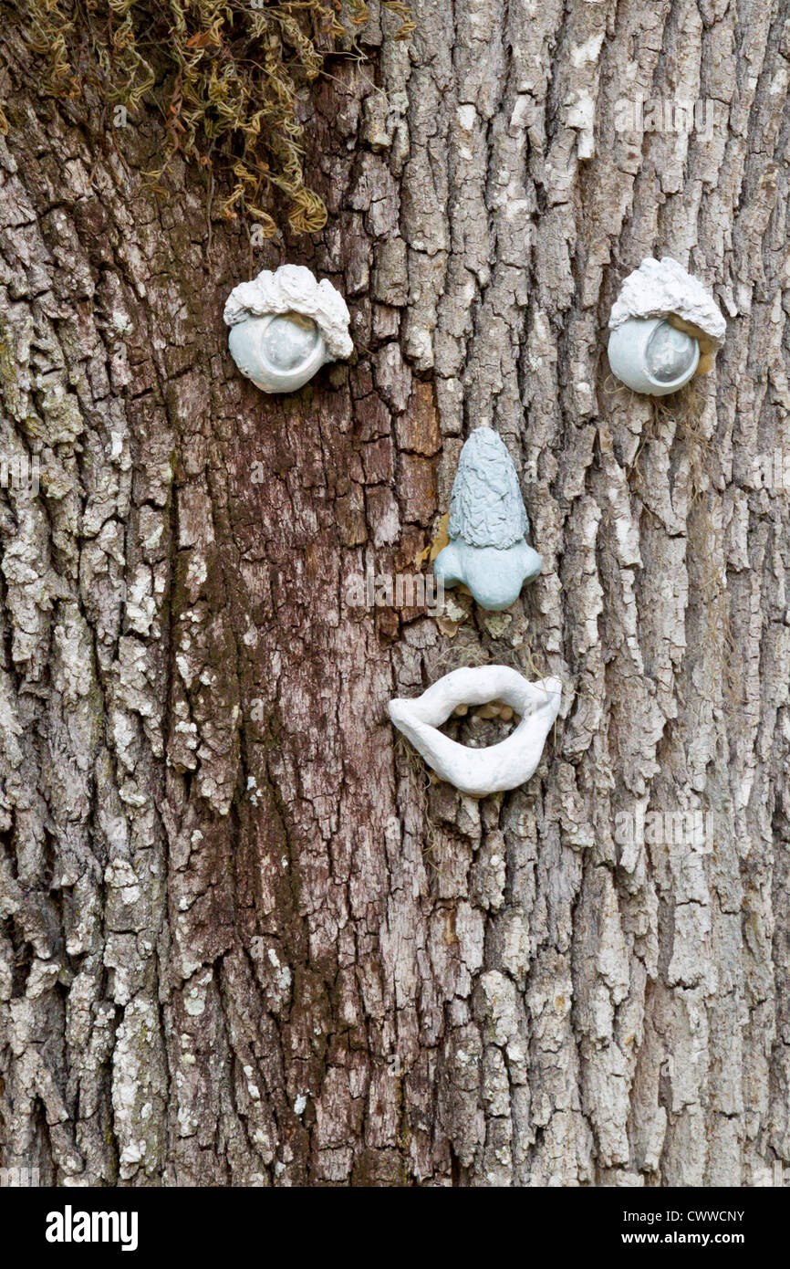 Funny facial features attached to large oak tree in Central Florida ...