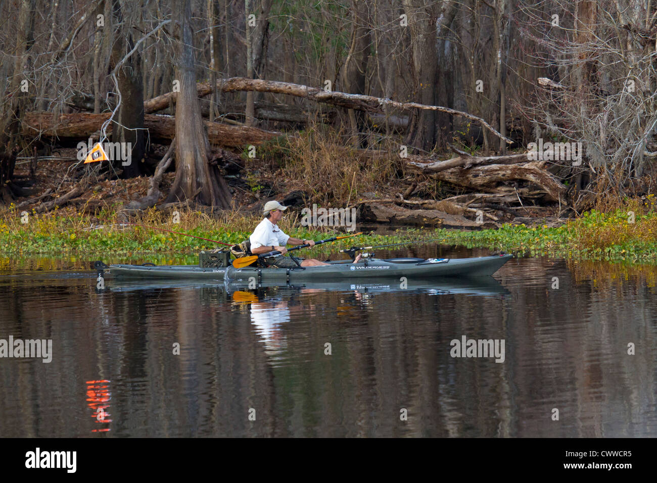 Fisherman paddling kayak on Withlacoochee River near Inverness, Florida ...