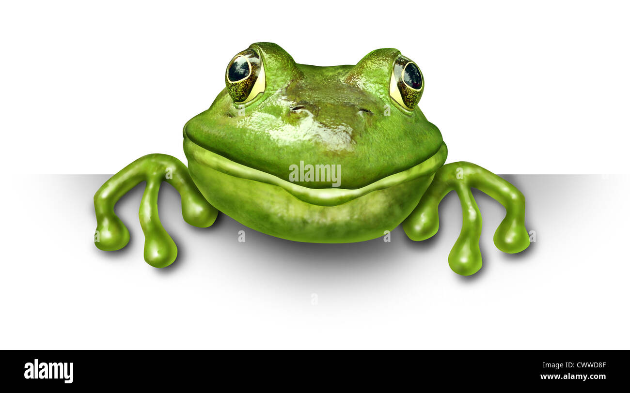 Frog holding a blank sign front view represented by a green happy ...