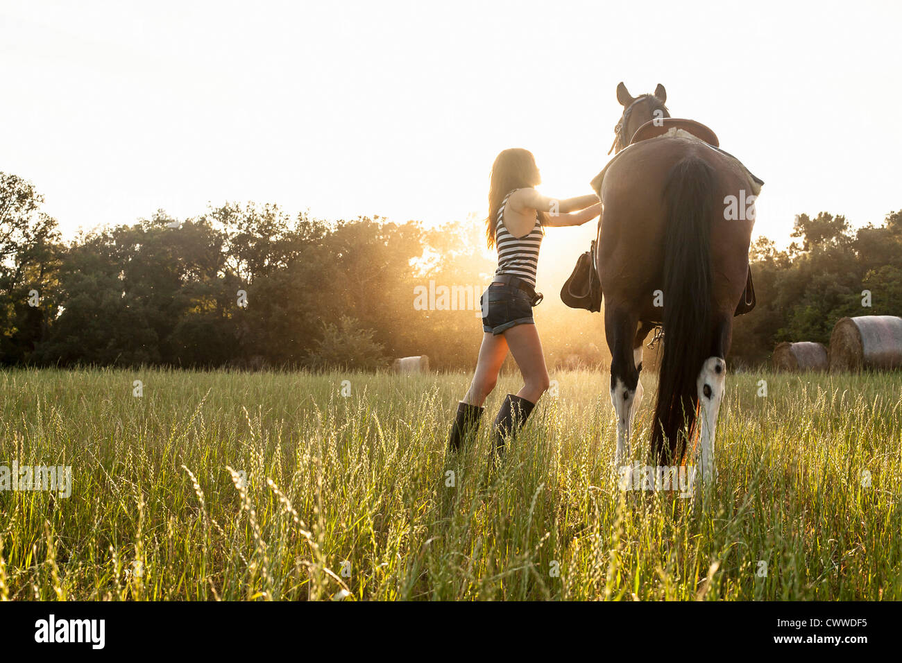 Woman saddling up horse in field Stock Photo - Alamy