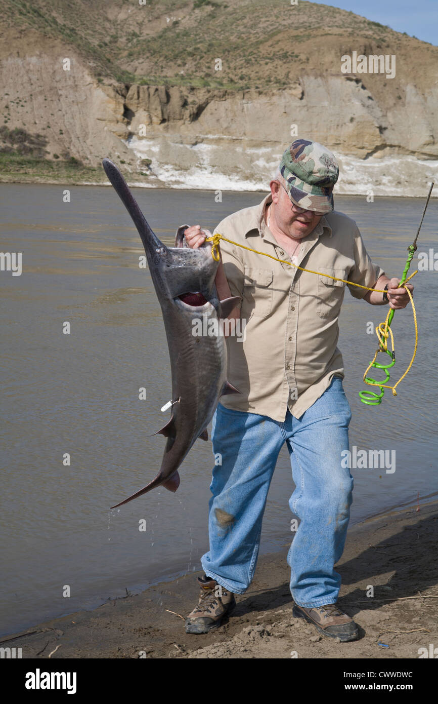 Paddlefish hi-res stock photography and images - Alamy