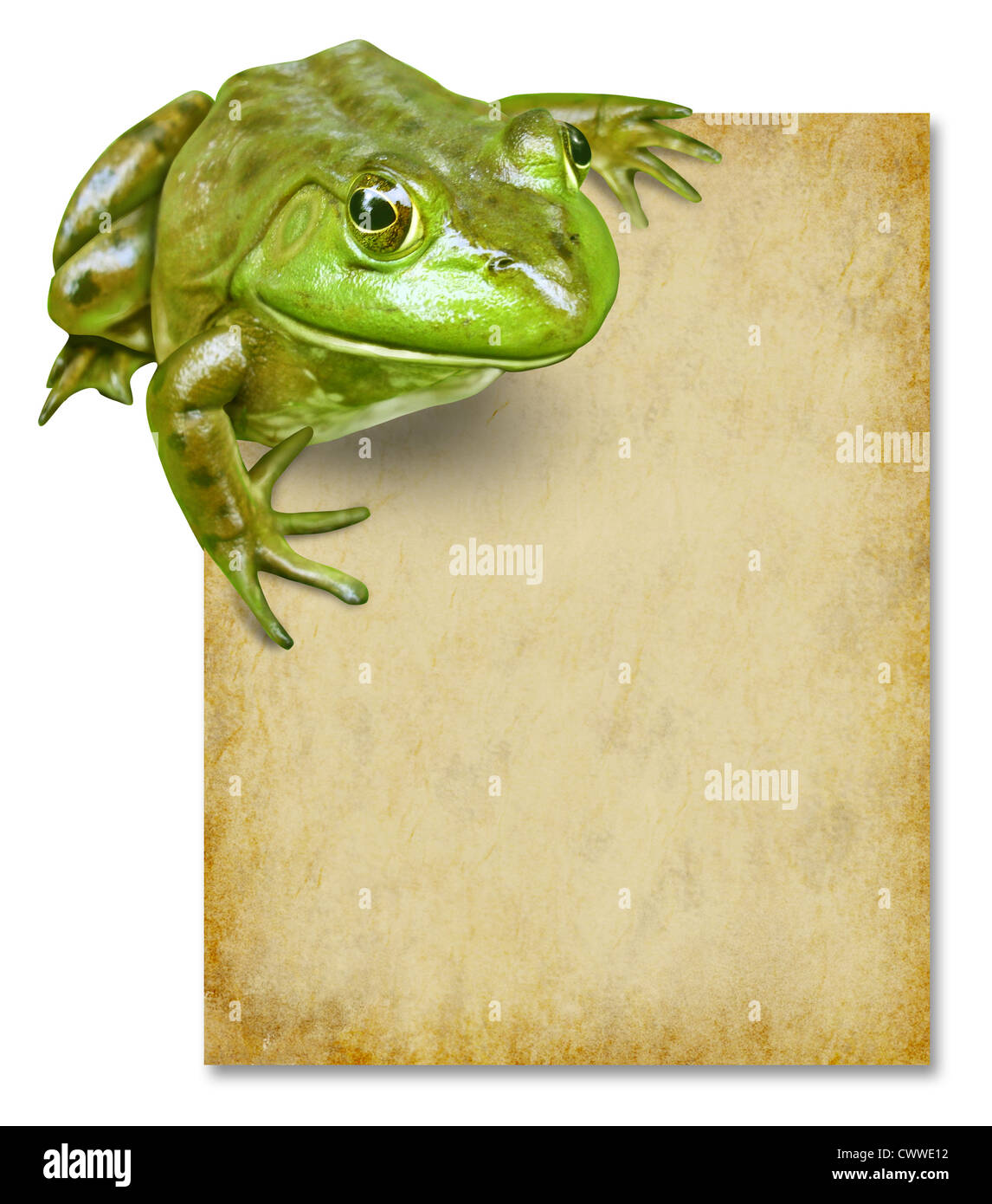 Frog with blank grunge old paper sign representing an advertisement or ...