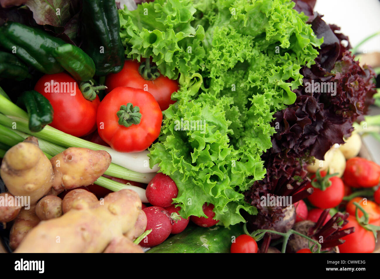 Collection of quality fresh organic produce in an colourful array and ...