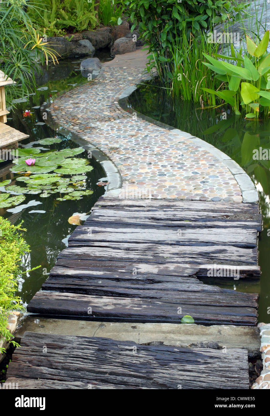 walkway path over Lotus pond Stock Photo - Alamy