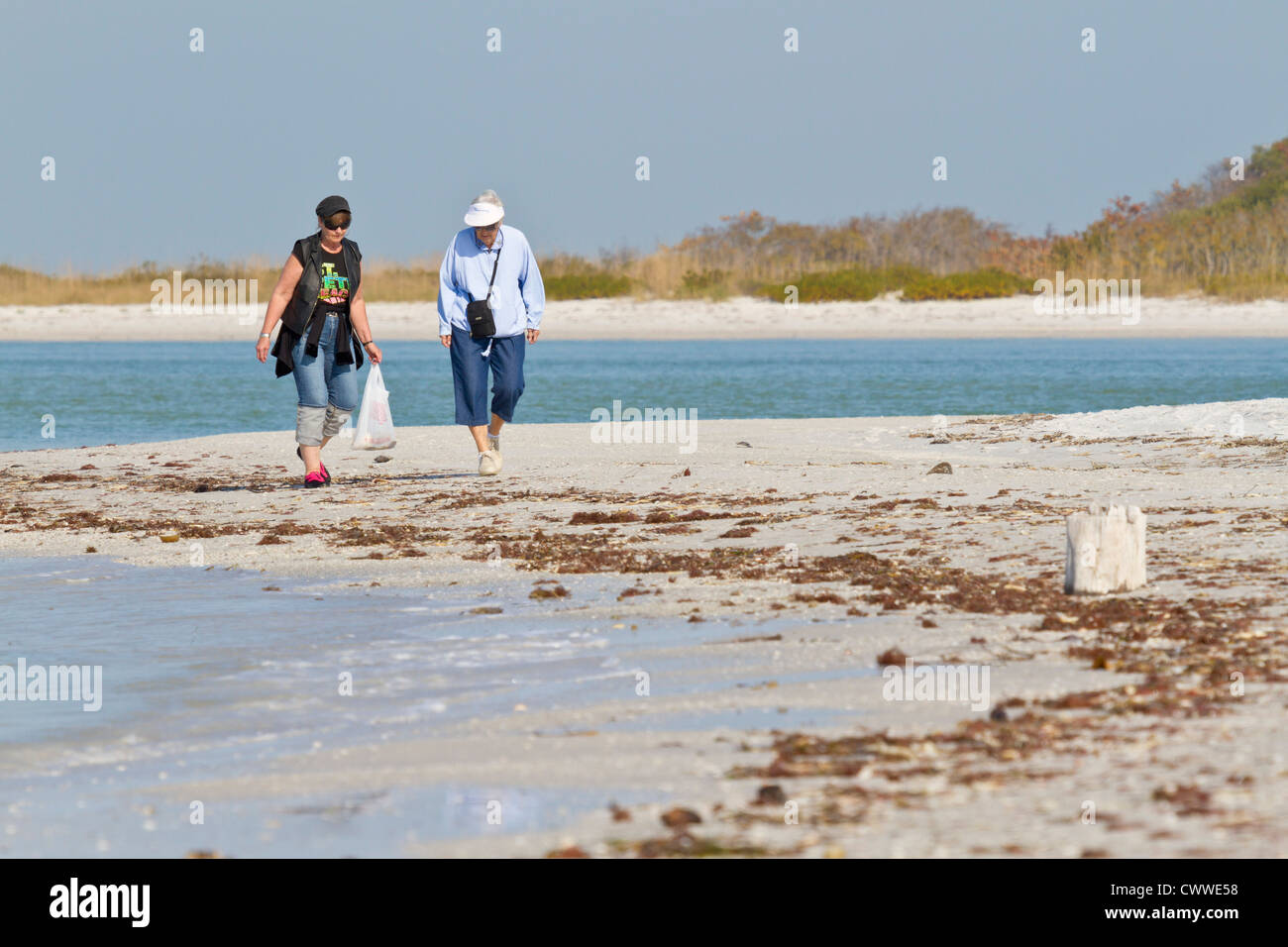 Beachcombing woman hi-res stock photography and images - Alamy
