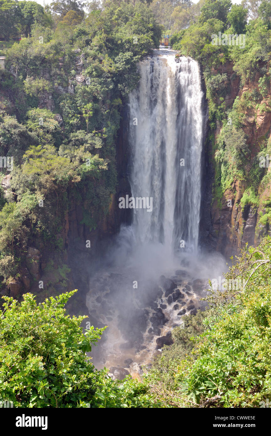 Thompsons hi-res stock photography and images - Alamy