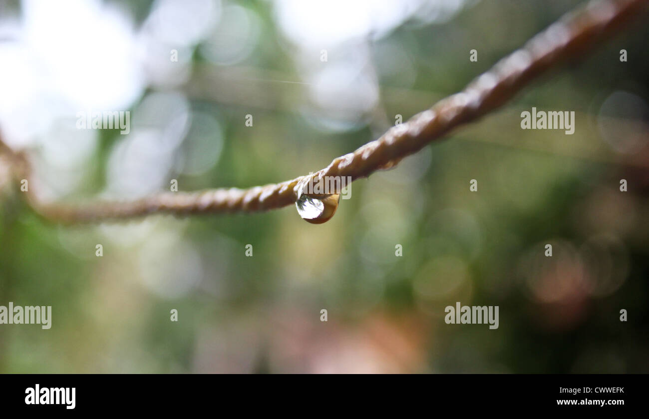 rain drop on a rope Stock Photo - Alamy