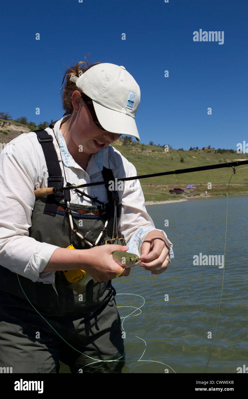 Cutthroat trout hi-res stock photography and images - Alamy