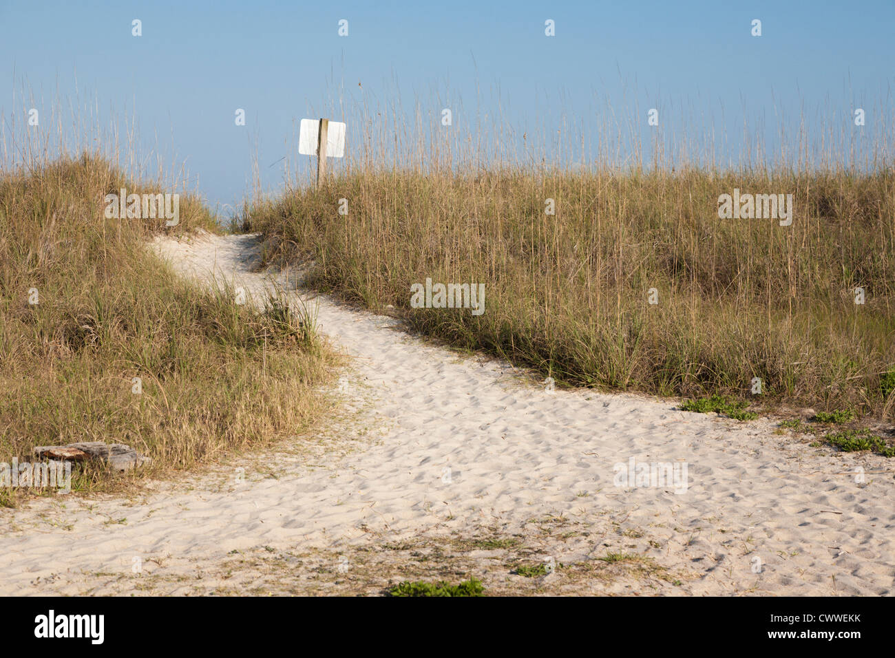 Over beach grass hi-res stock photography and images - Alamy