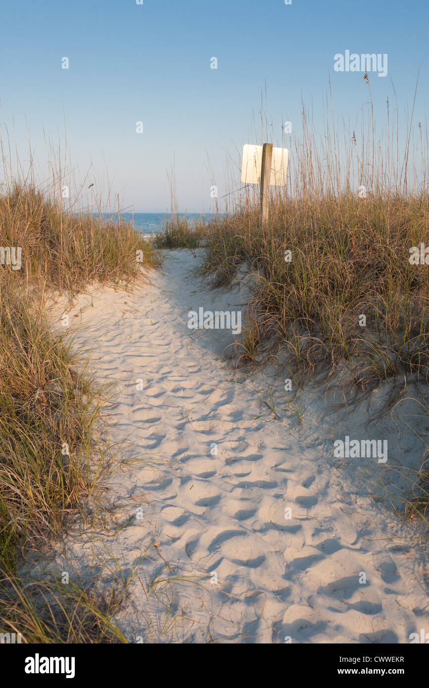 Sand walkway in the grasses over sand dunes on the beach at Amelia ...