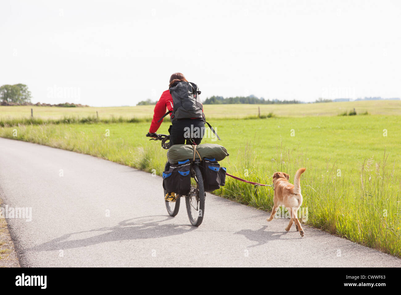 Dog bicycle riding hi-res stock photography and images - Alamy