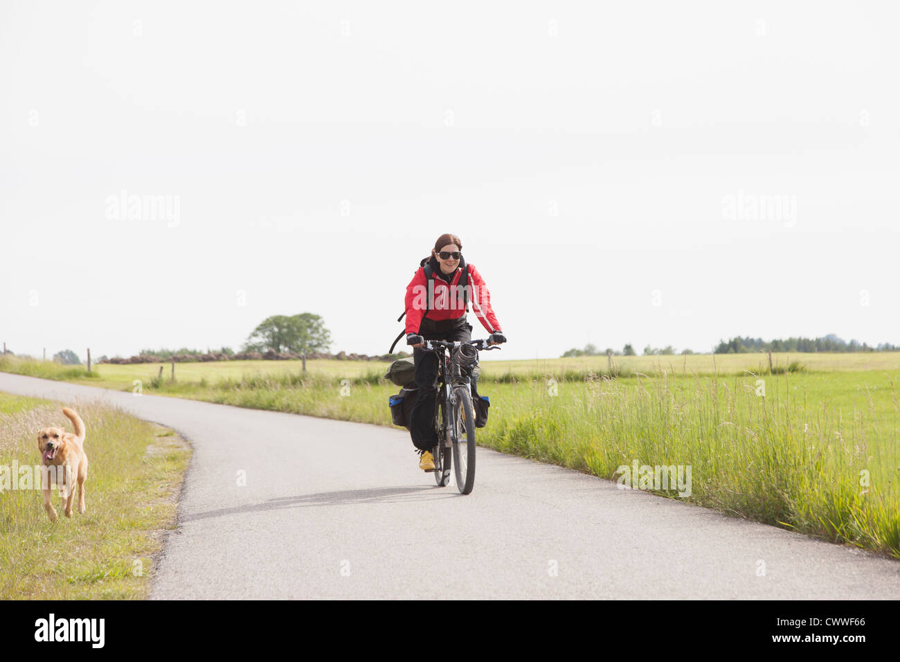 Dog bicycle riding hi-res stock photography and images - Alamy