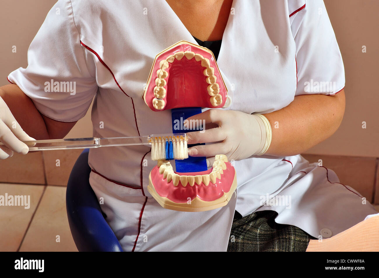 Photo of dentist showing his patient how to brush teeth Stock Photo - Alamy