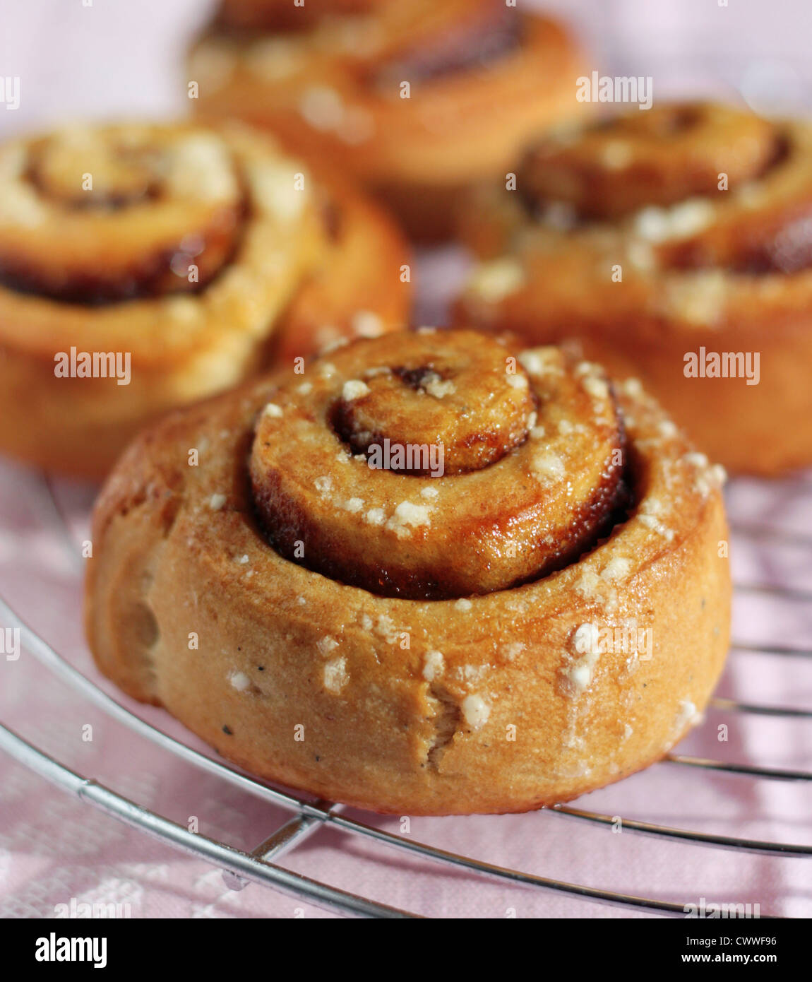 Freshly baked cinnamon rolls Stock Photo - Alamy