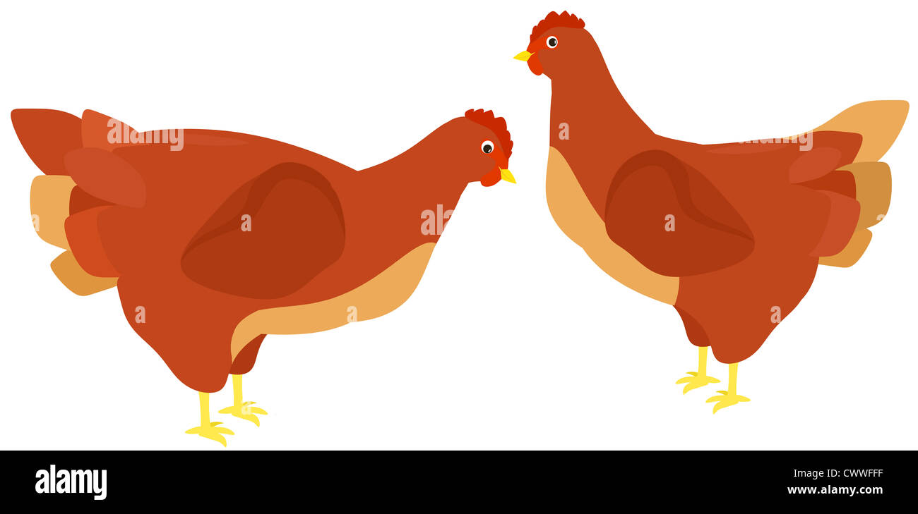 illustration of a pair of chickens Stock Photo - Alamy