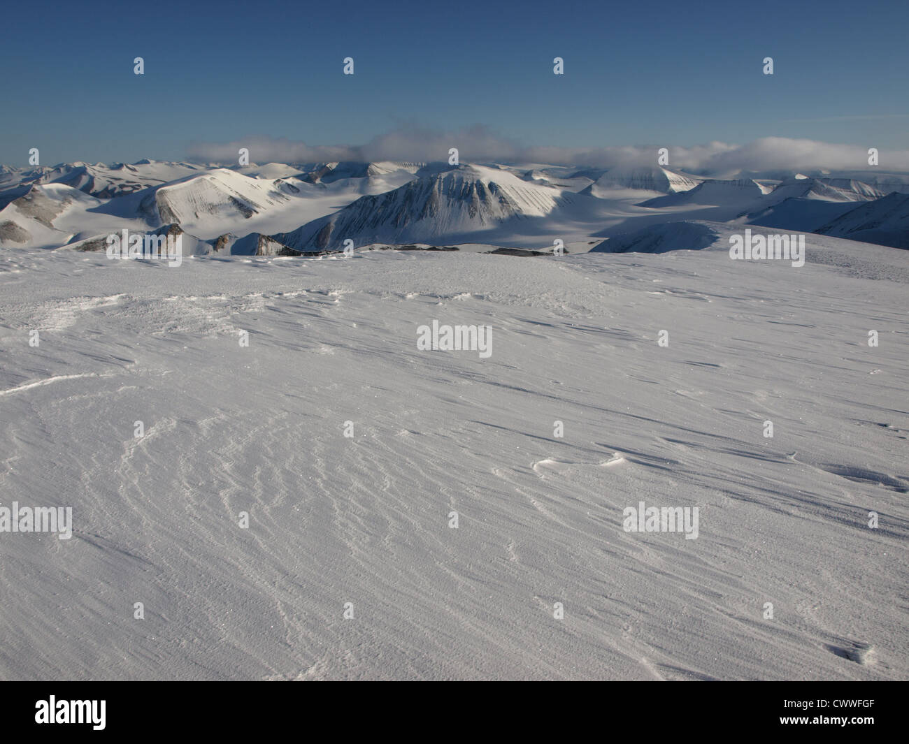 Summer on Svalbard Stock Photo - Alamy