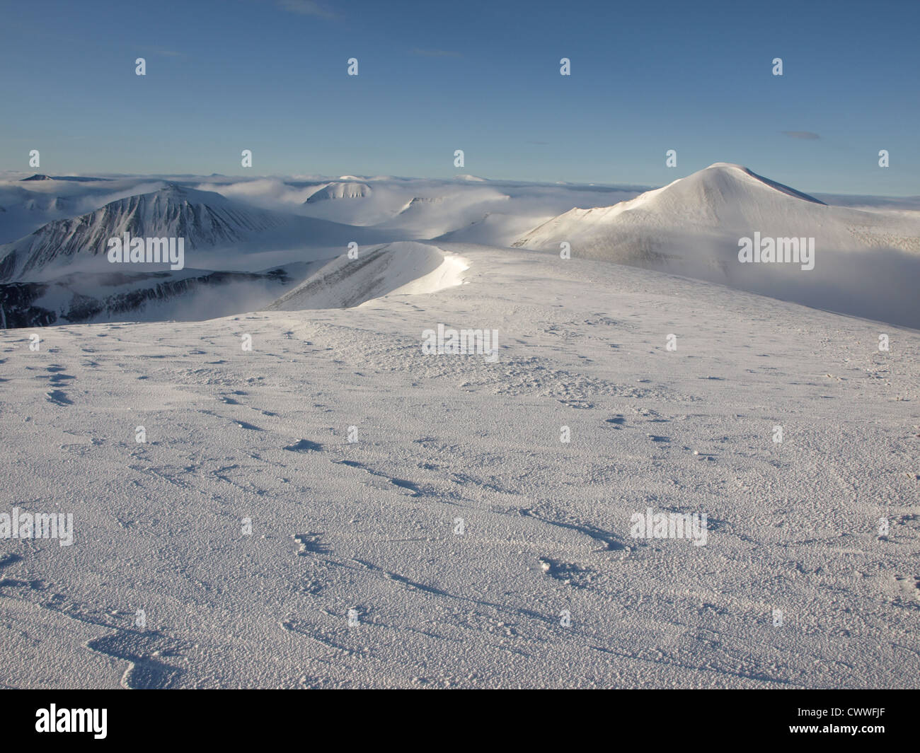 Summer on Svalbard Stock Photo - Alamy