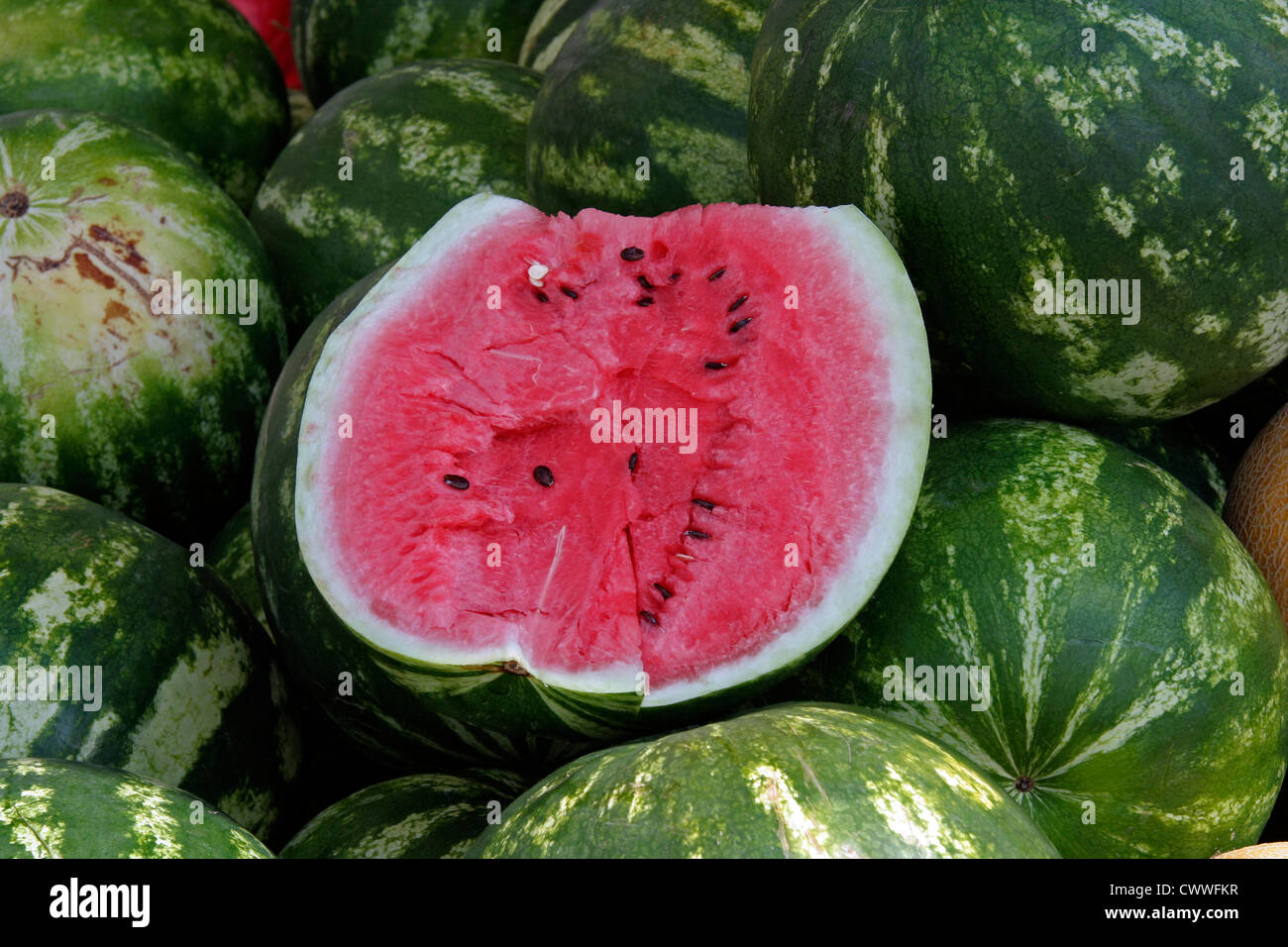 Melon melons display hi-res stock photography and images - Alamy