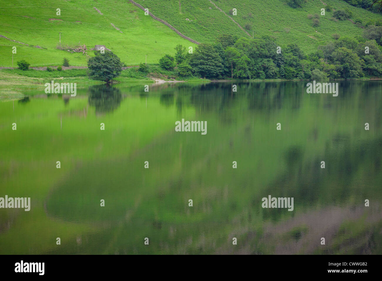 Lush green pastures and trees reflected in Brothers Water in the Lake ...