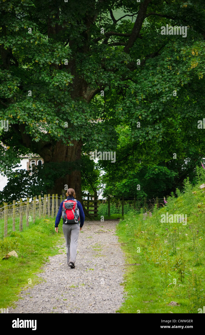 Pebble path hi-res stock photography and images - Alamy