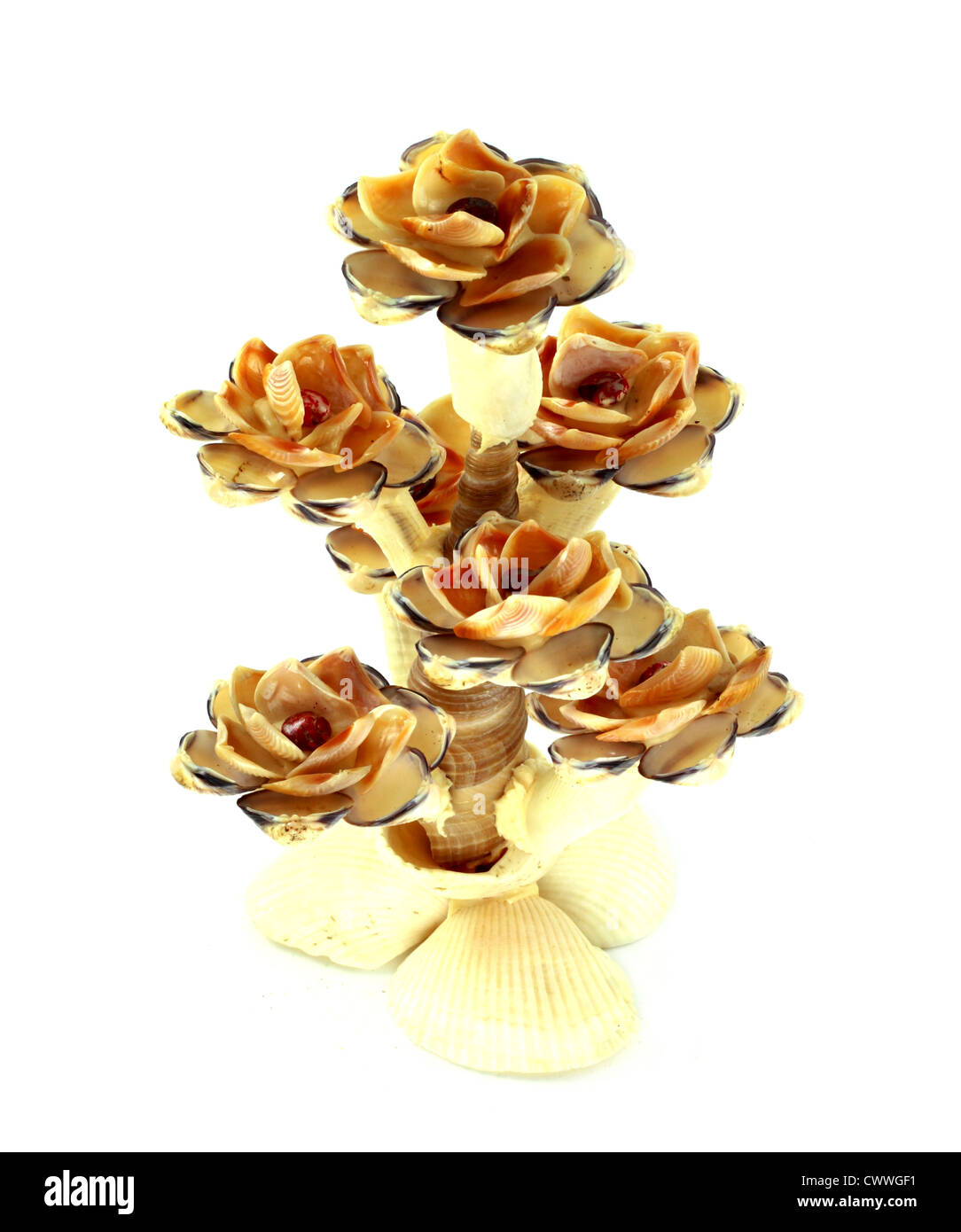 Shell flower decoration isolate on a white background Stock Photo - Alamy
