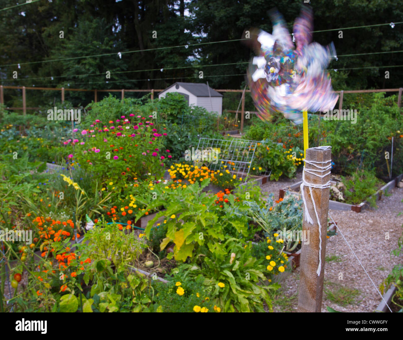 A pinwheel at a community garden Stock Photo - Alamy
