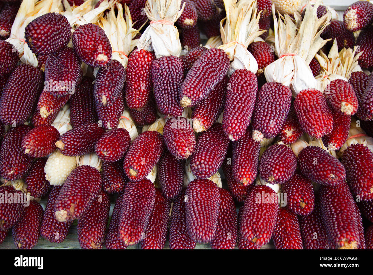 Strawberry corn for sale at an outdoor market Stock Photo - Alamy