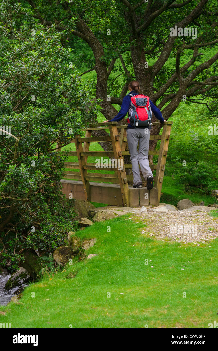 A hiker crosses a wooden bridge that is shrouded by trees at Dovedale ...