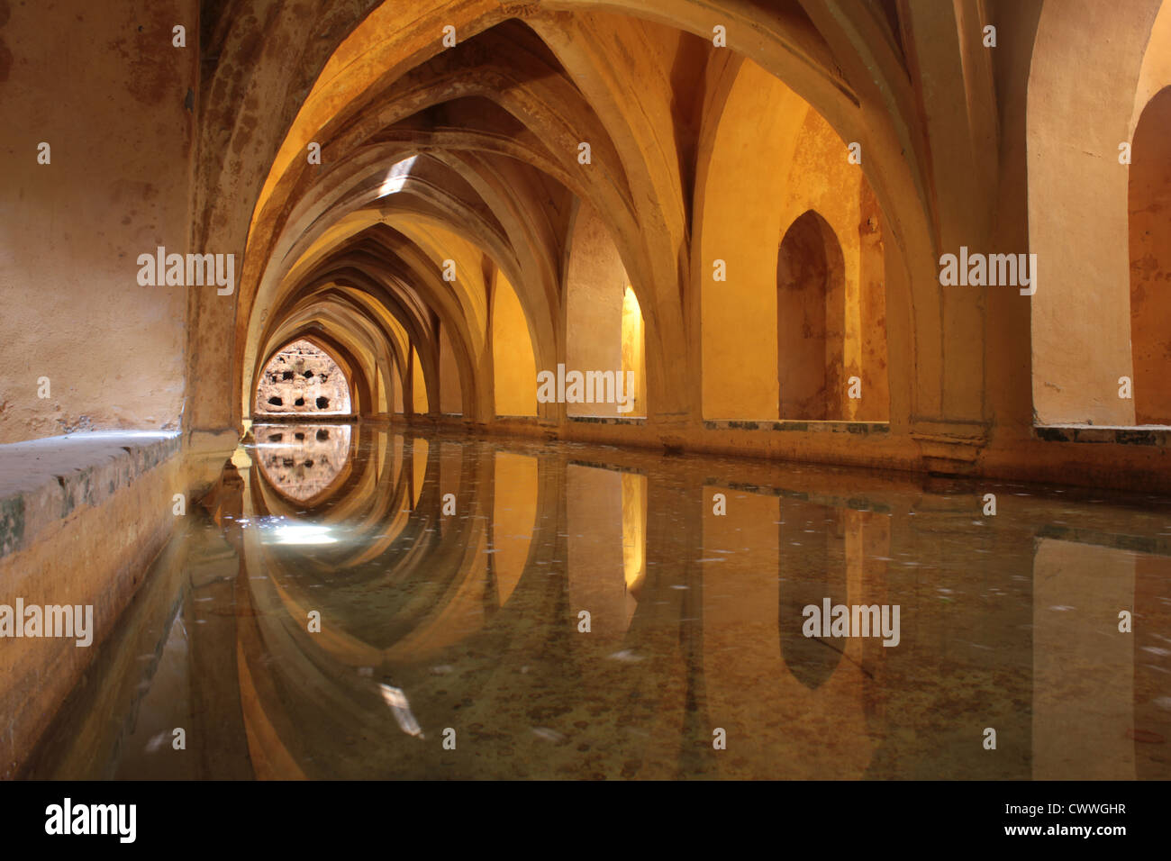 Pool at the alcazar of seville hi-res stock photography and images - Alamy