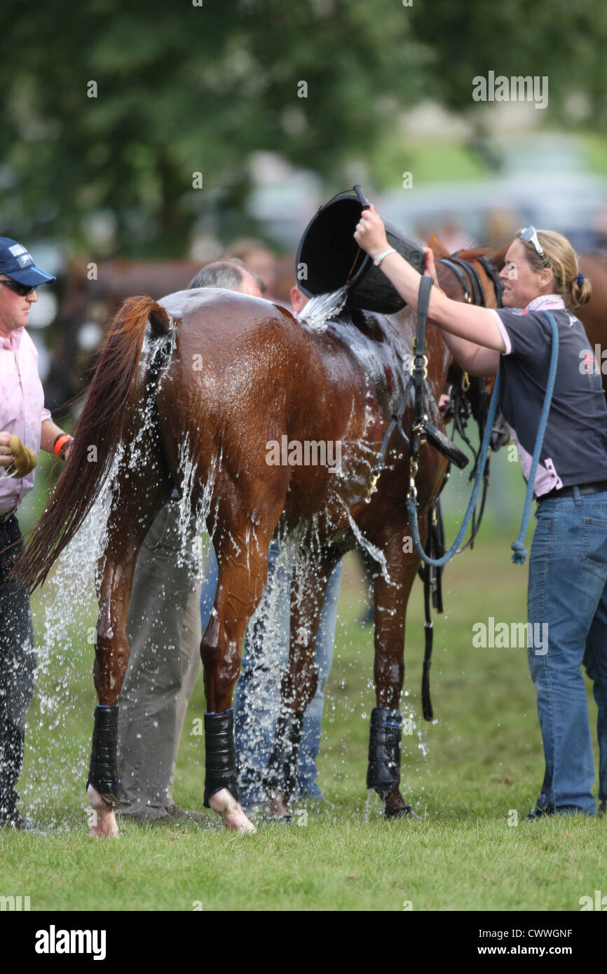 Cooling down horse eventing hi-res stock photography and images - Alamy