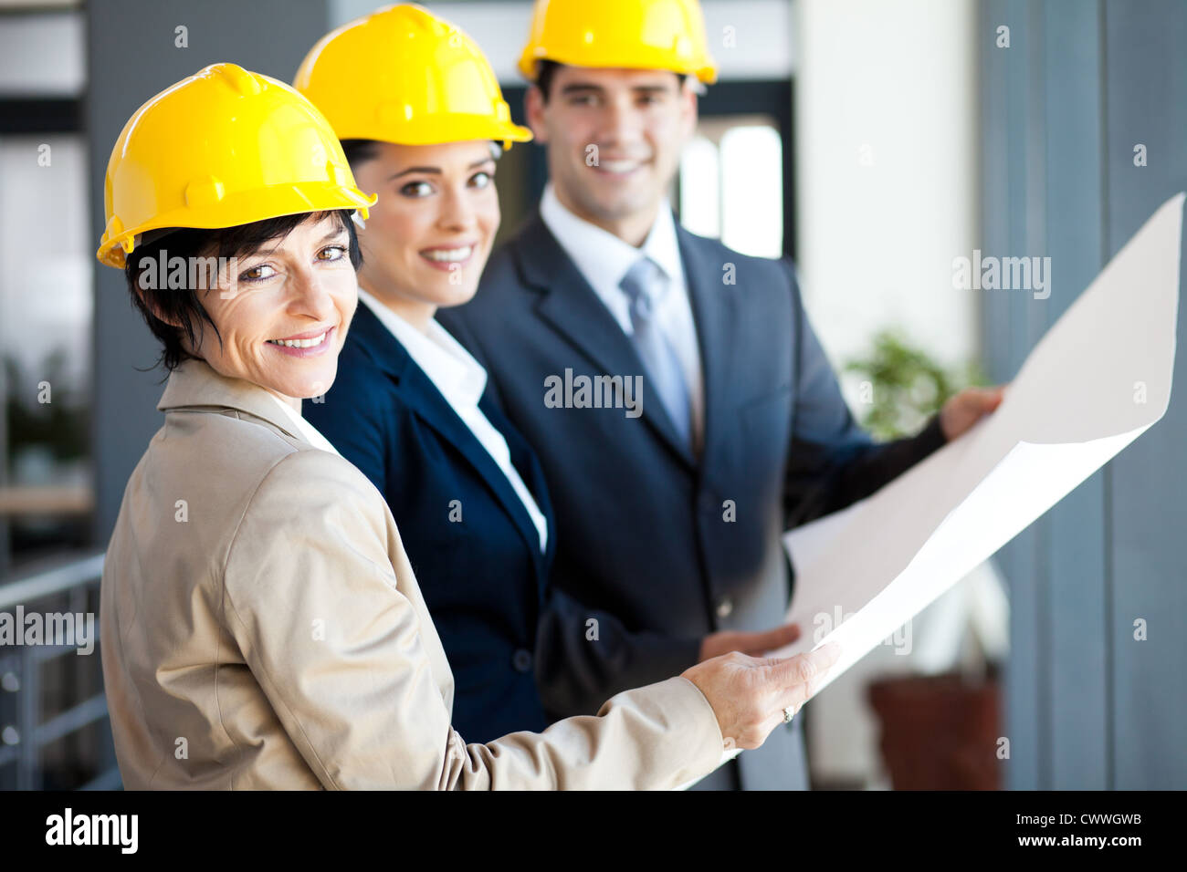 group of professional construction managers Stock Photo - Alamy