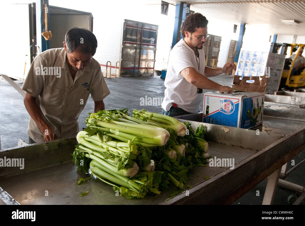 agriculture specialists for U.S Customs and Border Protection, inspect ...